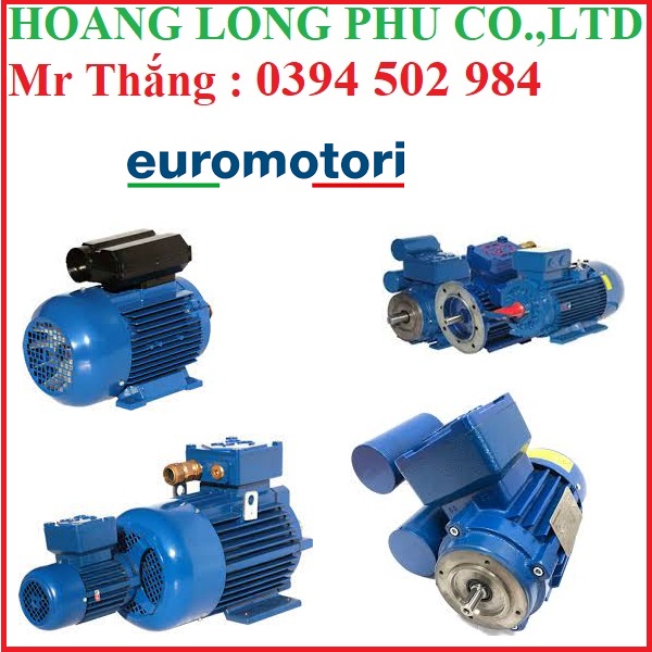 Động cơ Motor Euromotori Đại lý Tại Việt Nam - daily-phanphoi.com
